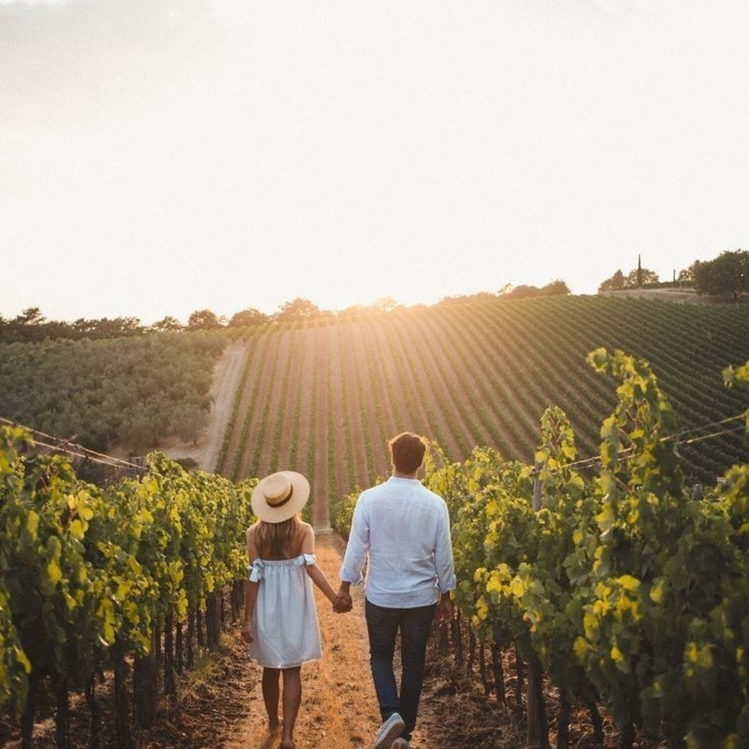 WINERY PROPOSAL – The Circular Clique