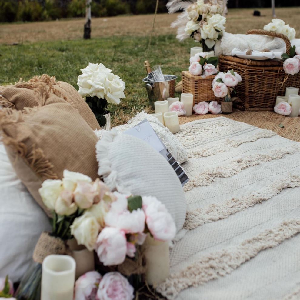 PICNIC PROPOSAL – The Circular Clique