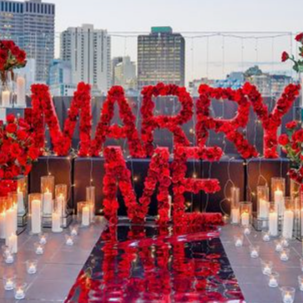 CITY LIGHT PROPOSAL – The Circular Clique